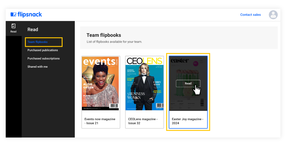 Being a reader in a Flipsnack workspace